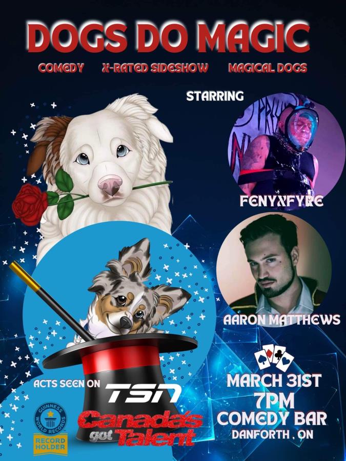 Dogs Do Magic | Comedy Bar